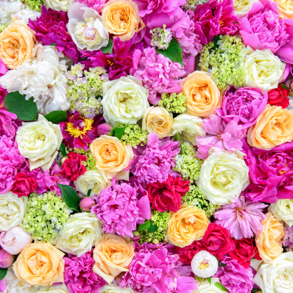 The Most Beautiful Flowers Worldwide