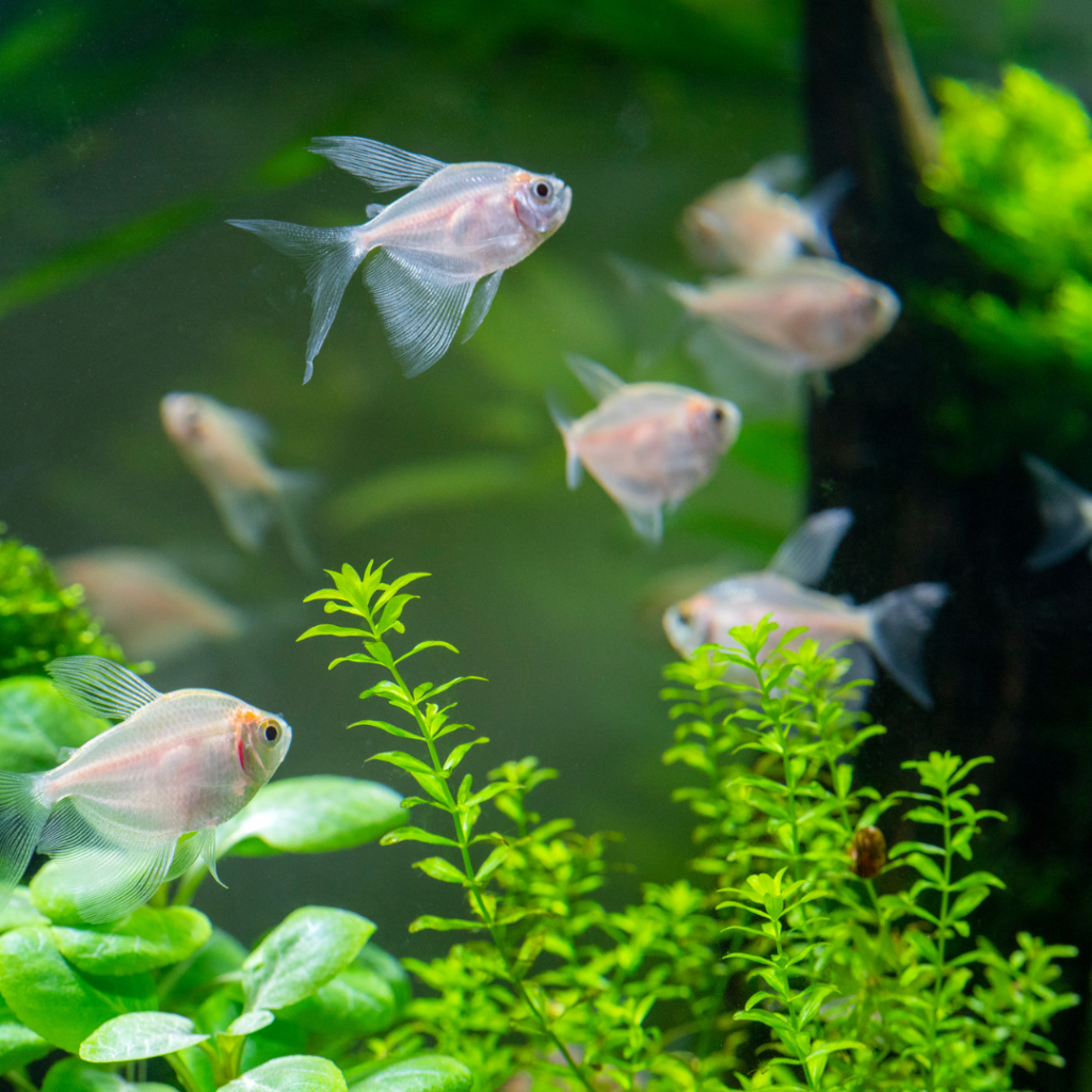 Terri's Little Haven - Terri’s Little Haven is your warm and welcoming ...