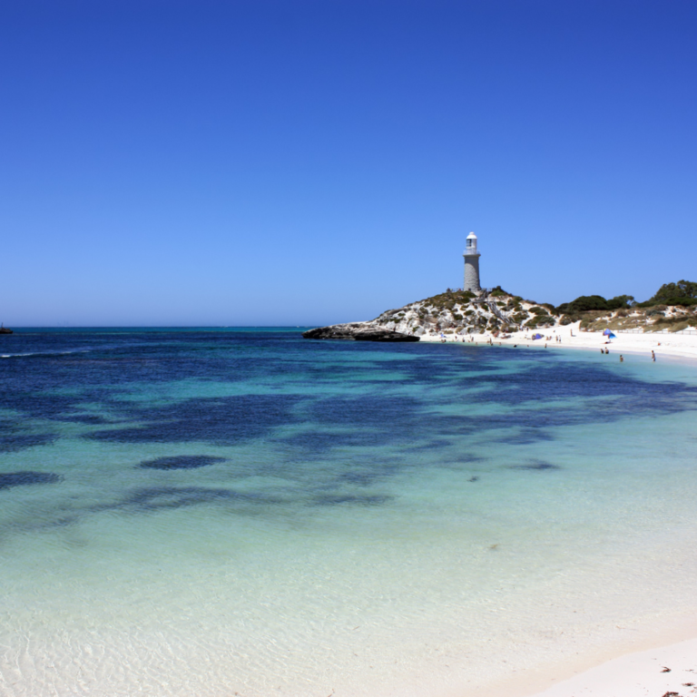 Visiting Montague Island - A Detailed Guide | Terri's Little Haven
