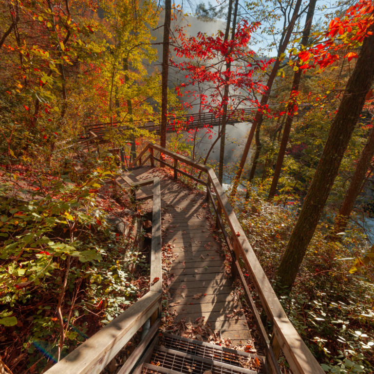 10 Enchanting Georgia State Parks for Kids and Why They're a Must-Visit