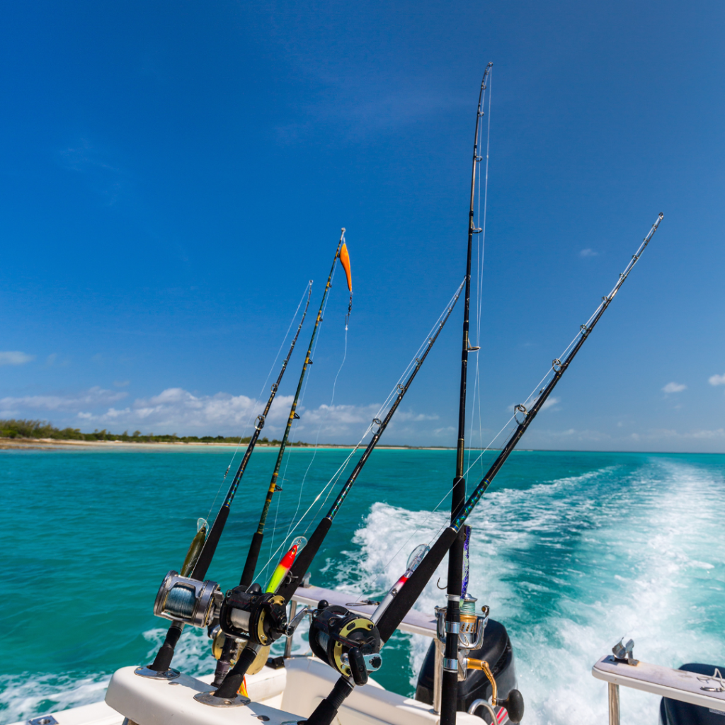 Hook, Line, and Sinker: Essential Tips for Successful Fishing in ...