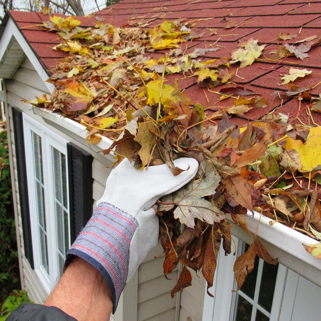 Mastering Home Maintenance: A Comprehensive Guide for Every Season