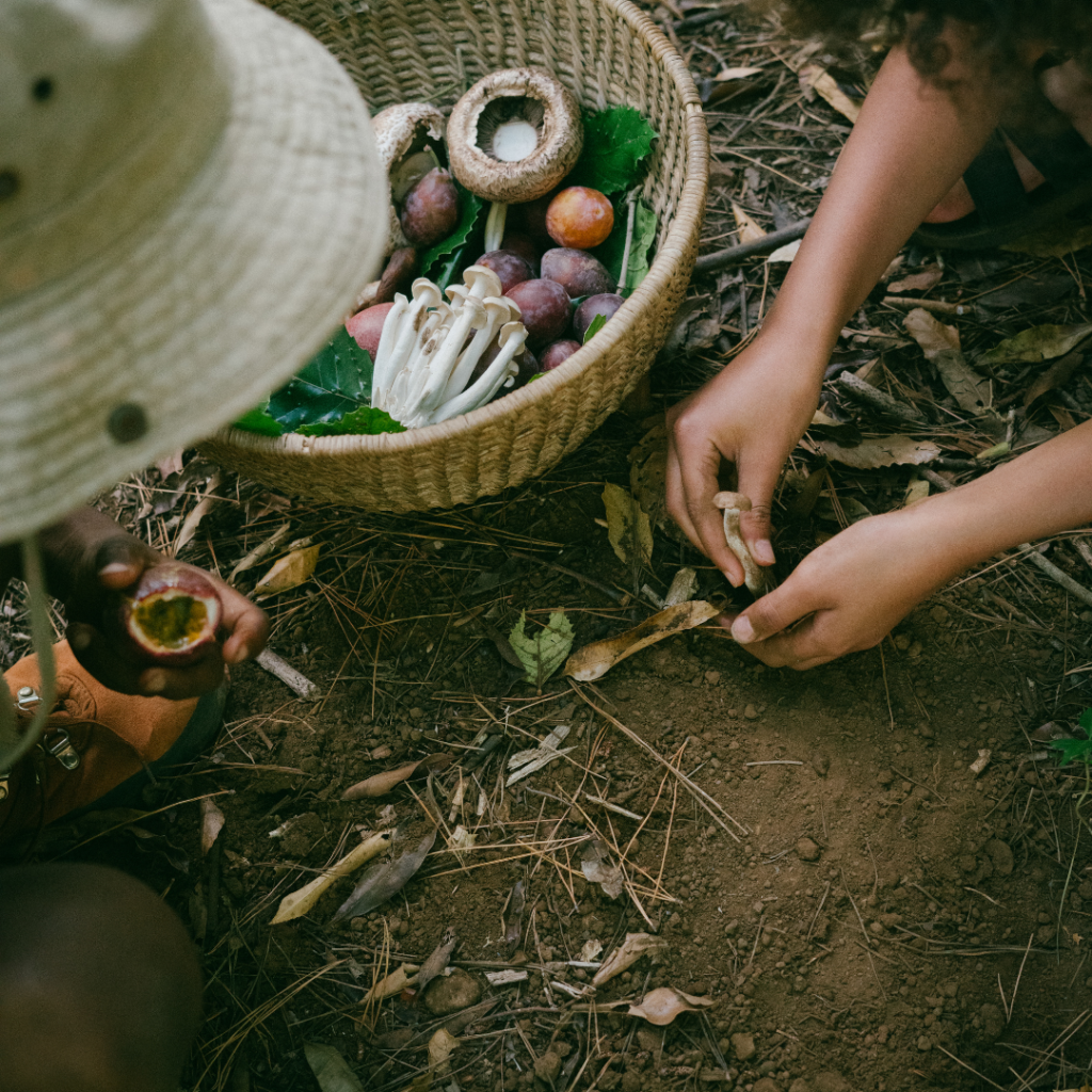 A Guide to Unveiling Nature's Bounty through Urban Foraging | Terri's ...