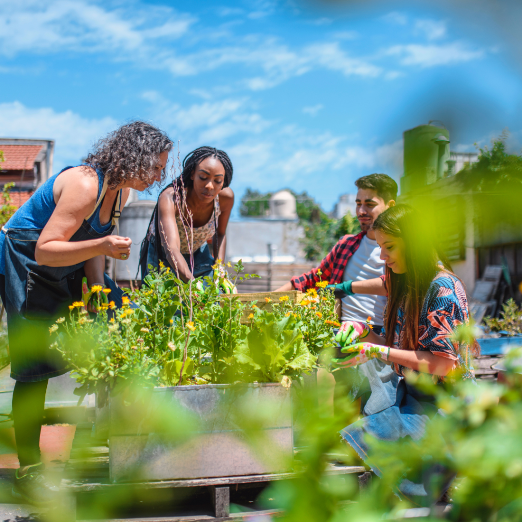 A Guide to Unveiling Nature's Bounty through Urban Foraging | Terri's ...